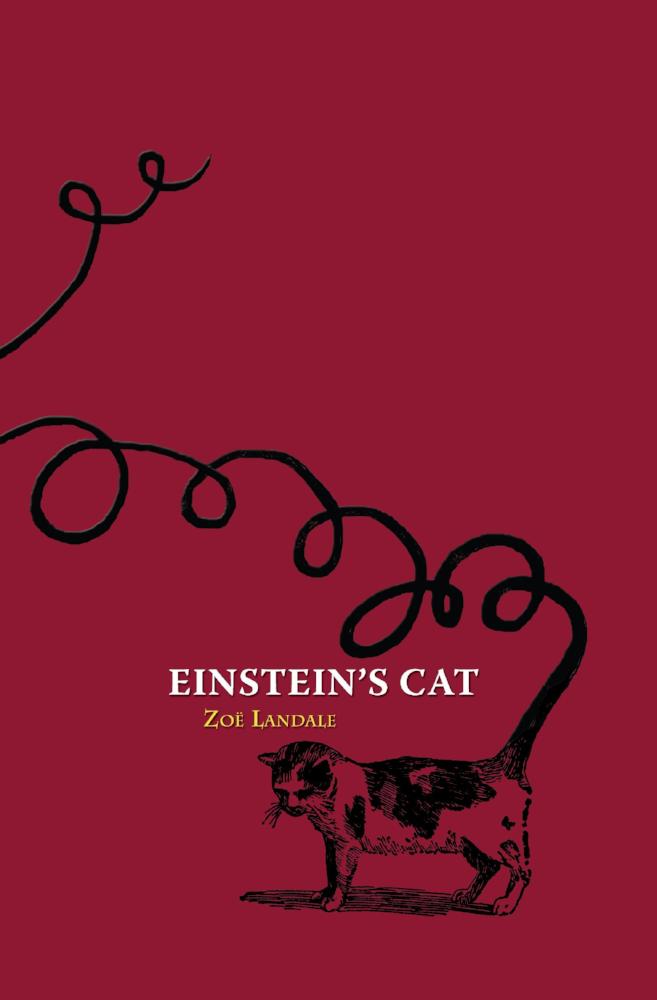 Einstein's Cat – Wolsak & Wynn Publishers Ltd.